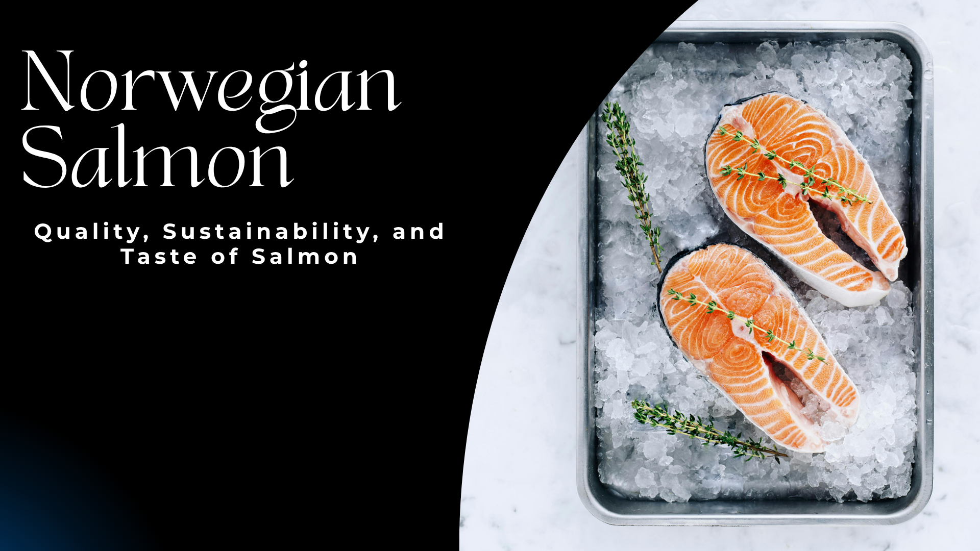 Why Norwegian Salmon Is the Gold Standard – Seafood Factory