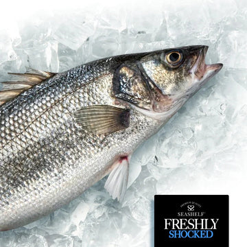 Premium Quality Raw Seafood Store – Seafood Factory