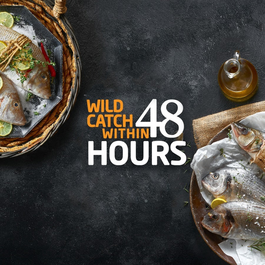 Premium Quality Raw Seafood Store – Seafood Factory