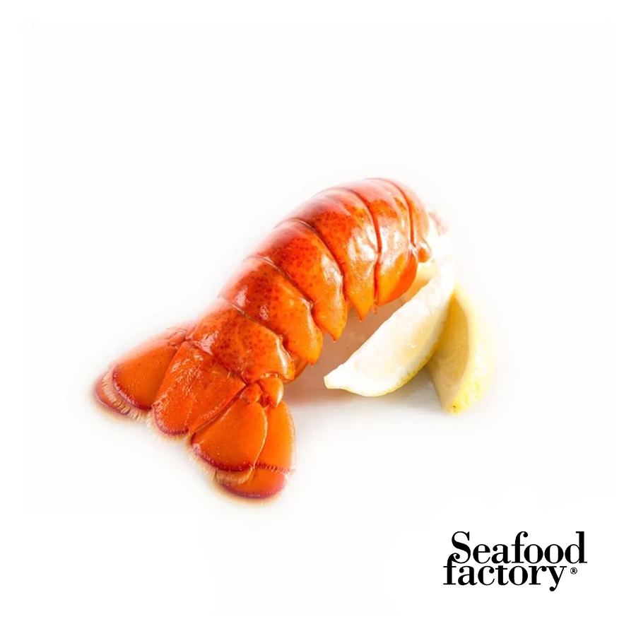 Lobster Tails – Seafood Factory